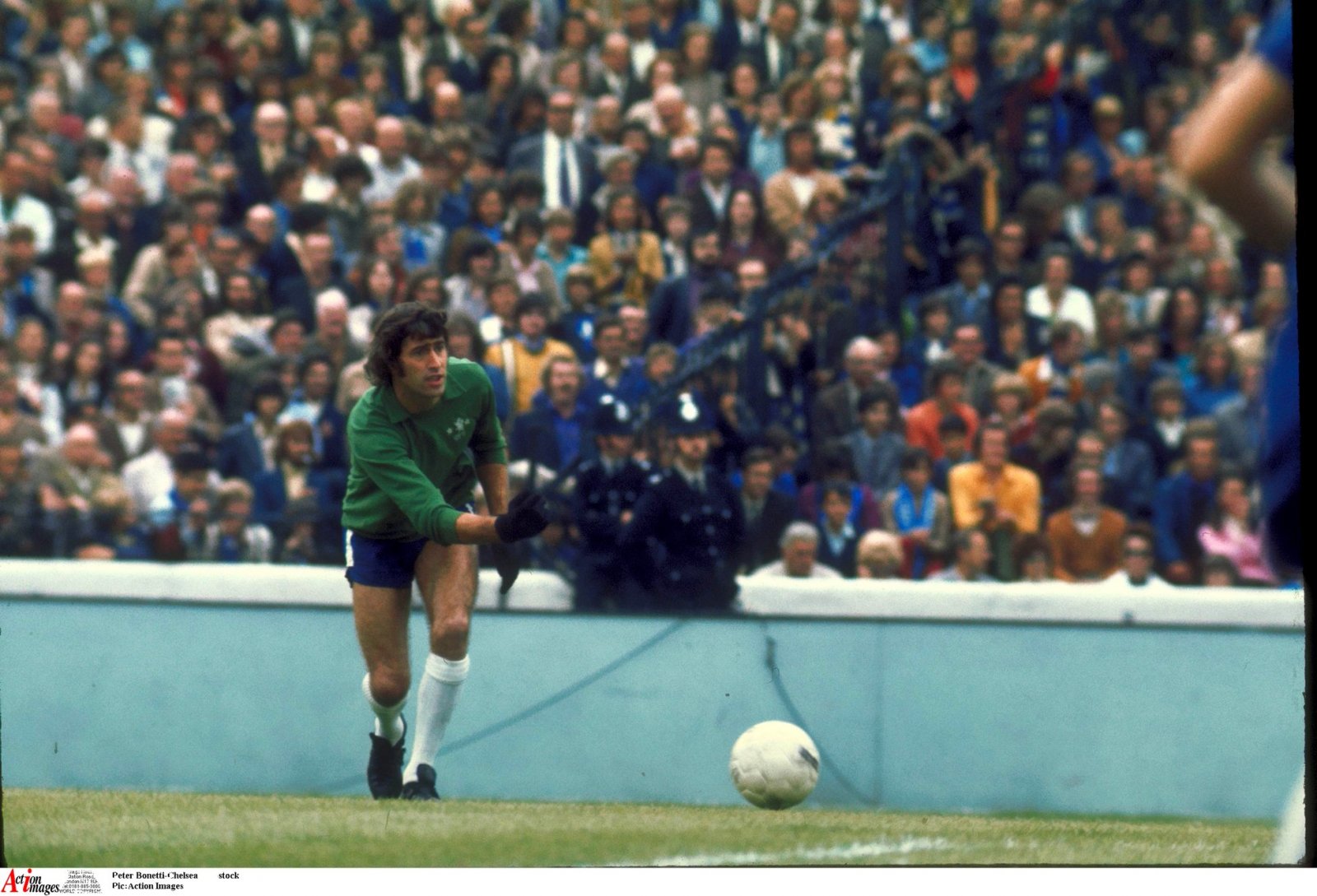 The Cat | Chelsea Fancast